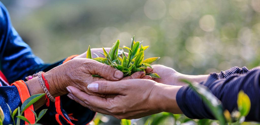 Purpose-led profit: How businesses that embed sustainability are seeing ...