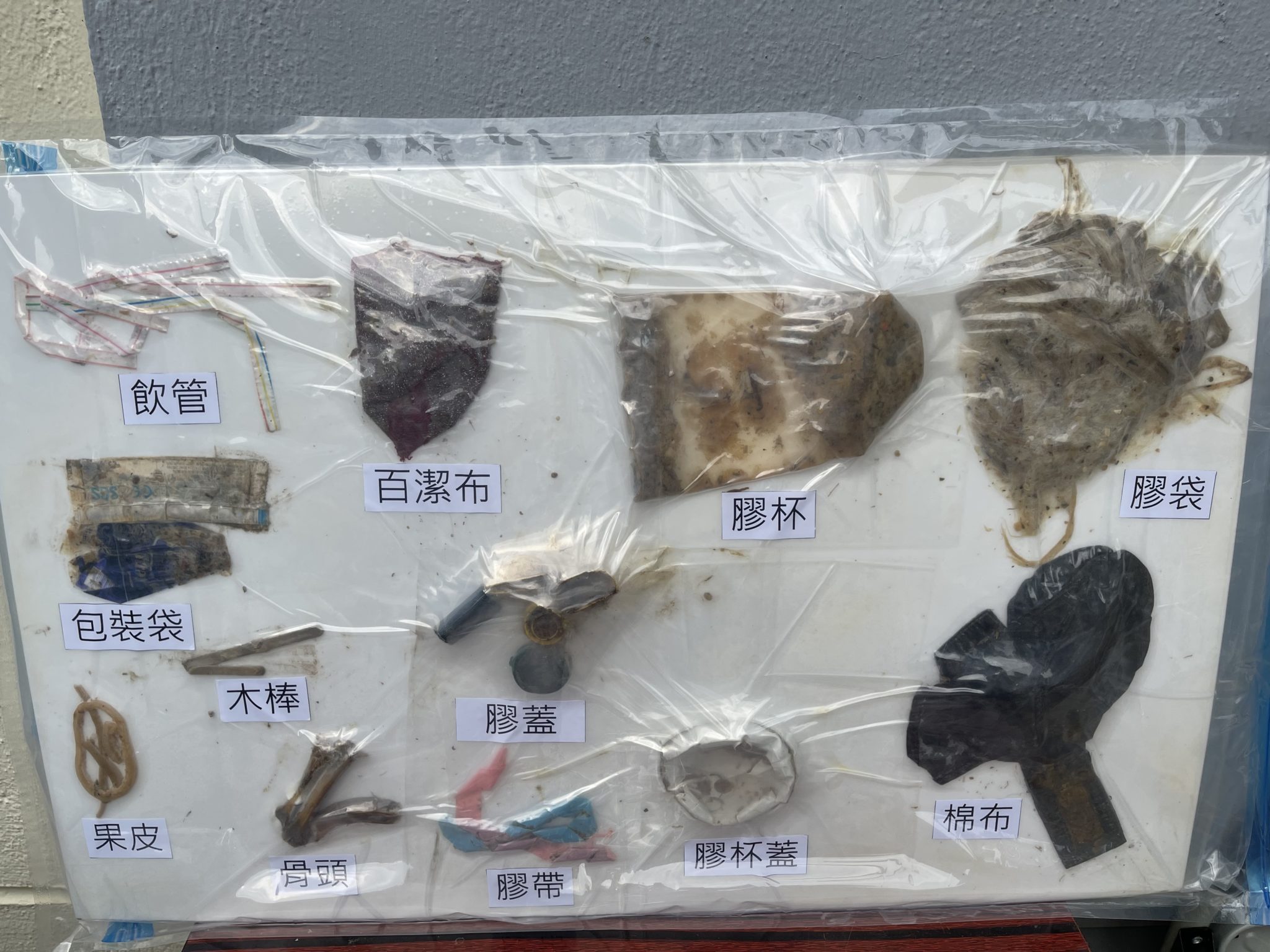 Turning Food Waste to Liquid: A new Era in food waste management ...