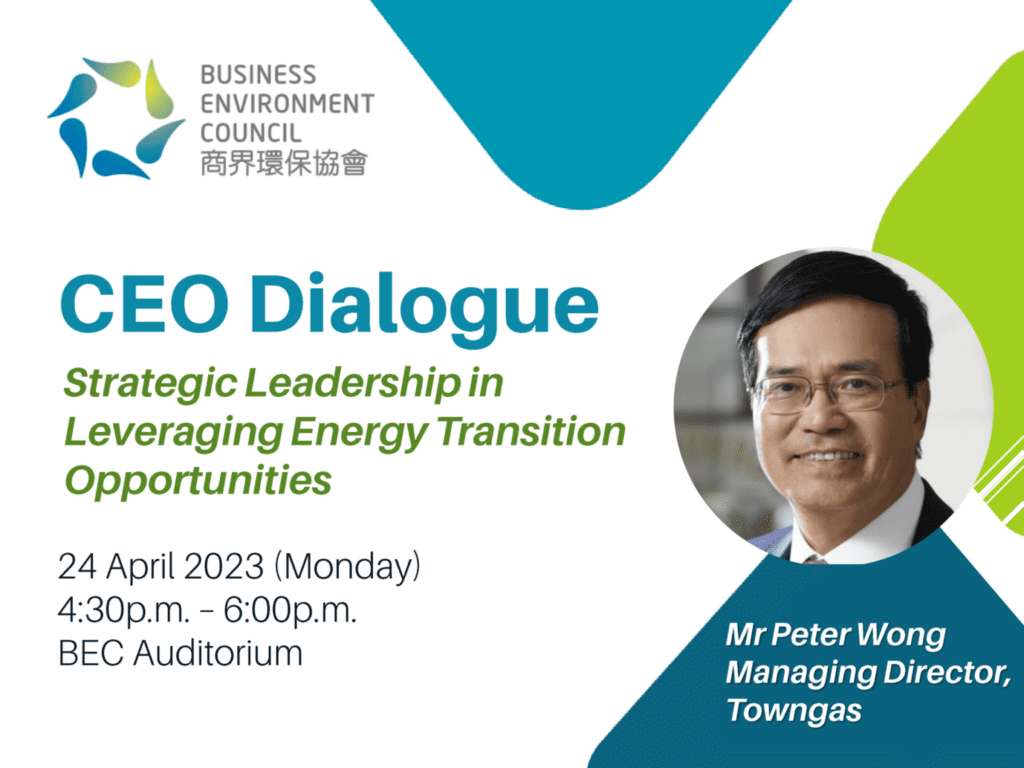 BEC CEO Dialogue – Strategic Leadership in Leveraging Energy Transition ...