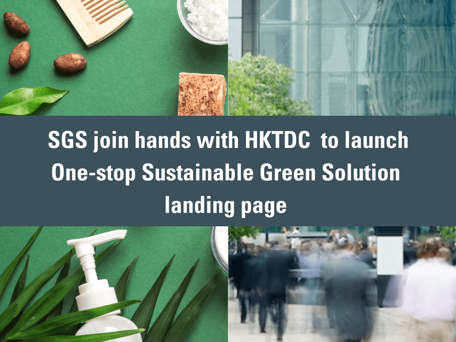 SGS One-stop Sustainable Green Solution landing page successfully ...