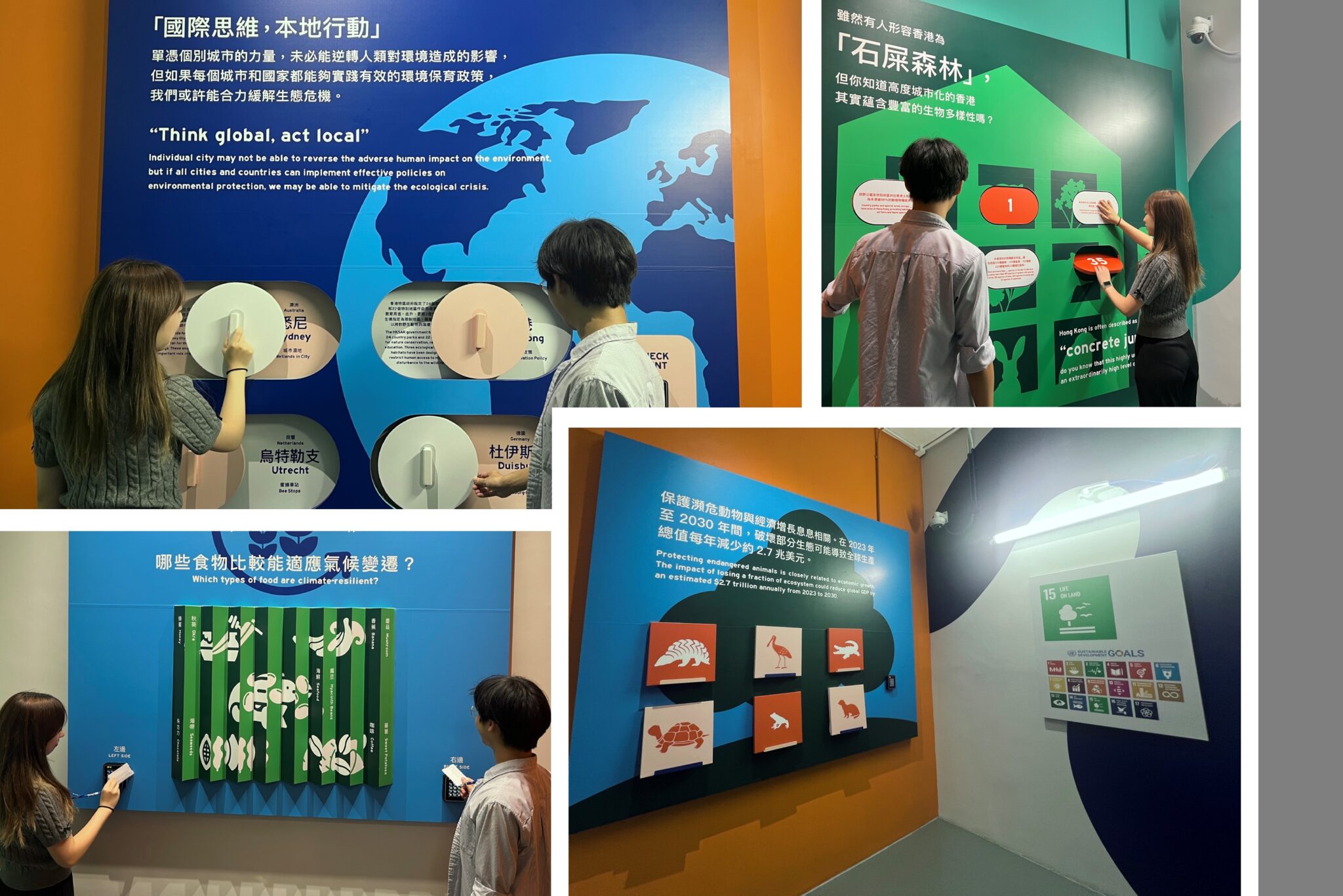 SDG staircase features new theme “Life On Land" - ReThink HK